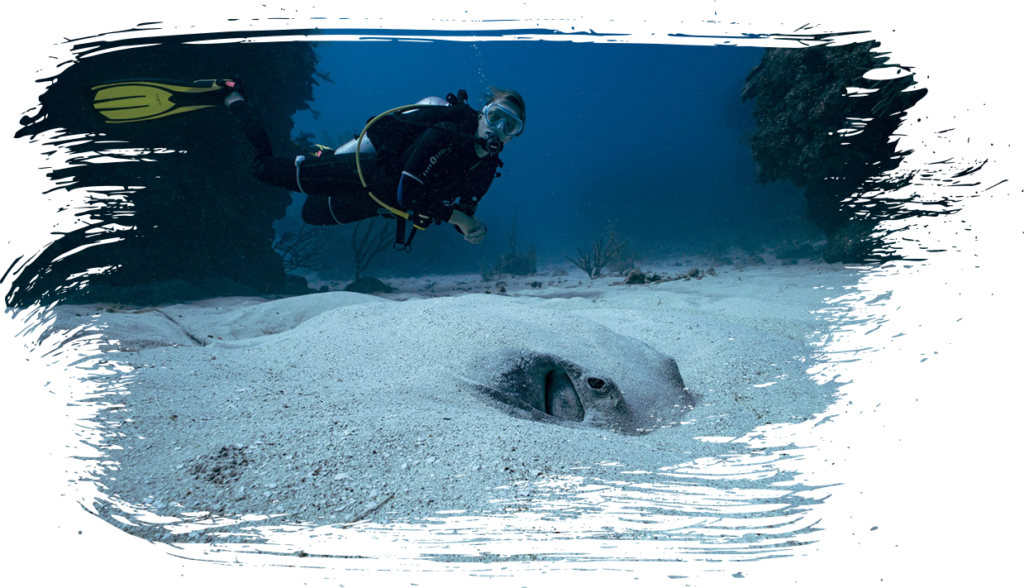 Discover Scuba Diving on Roatan | Best Dive Roatan