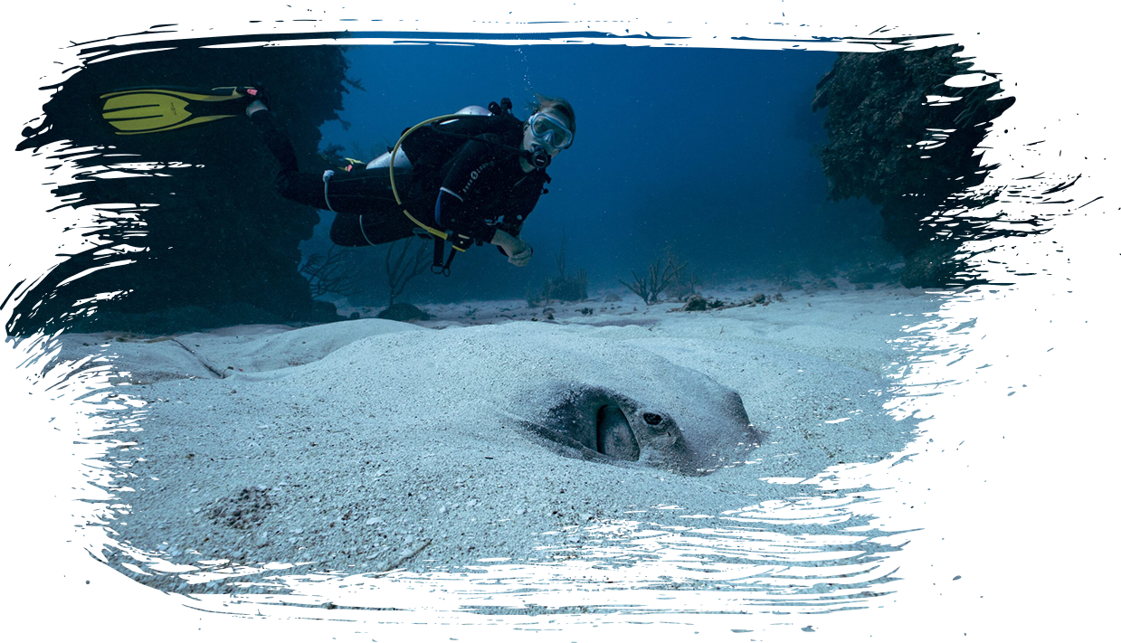 Discover Scuba Diving on Roatan | Best Dive Roatan